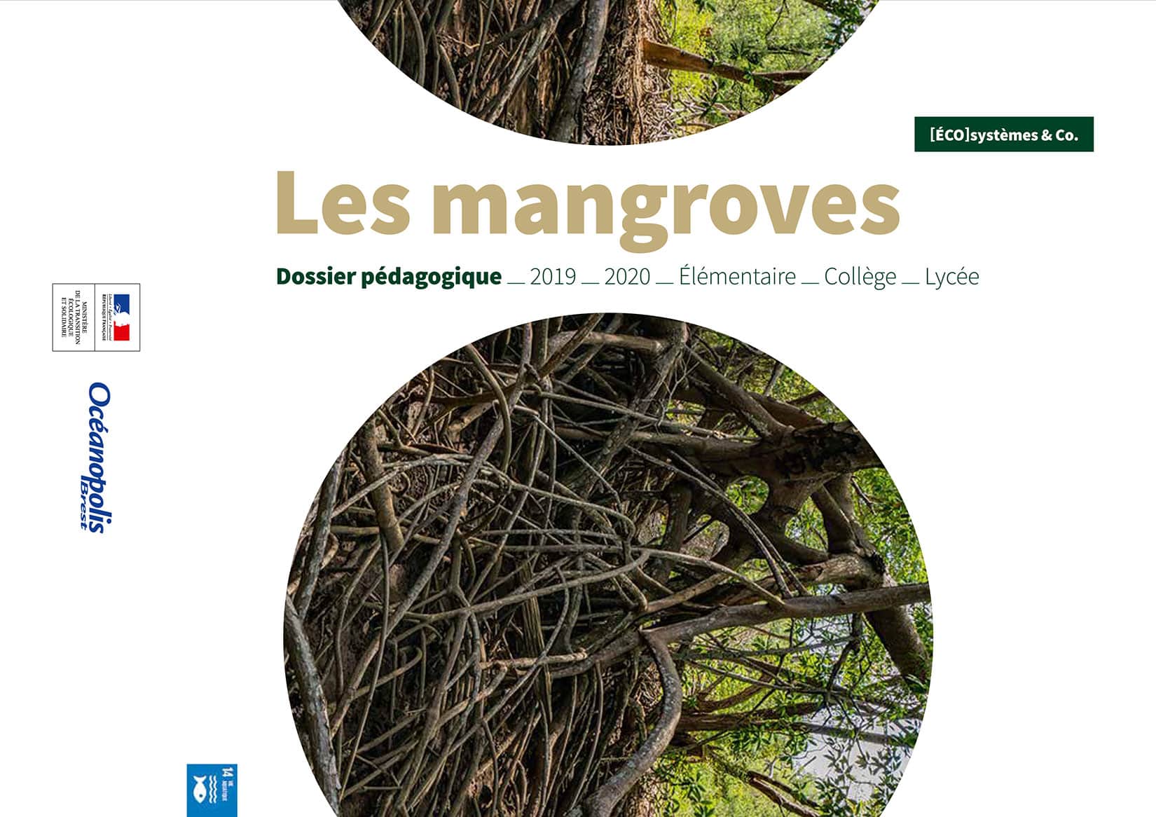 Les écosystèmes tropicaux, à 1 degré près… - Océanopolis