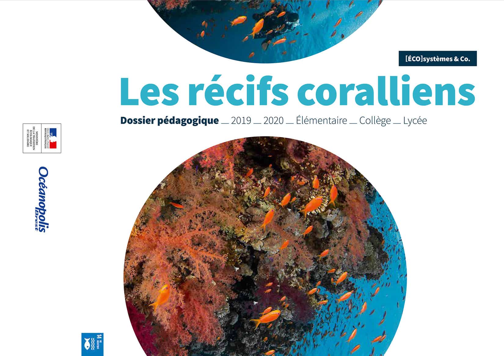 Les écosystèmes tropicaux, à 1 degré près… - Océanopolis