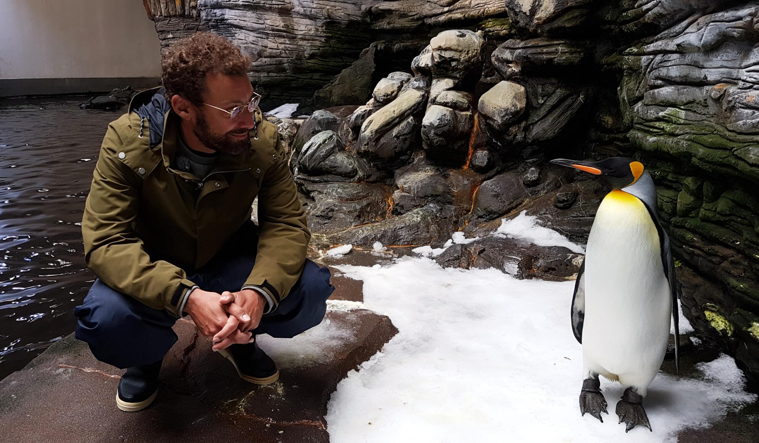 David Wahl & Océanopolis - Océanopolis