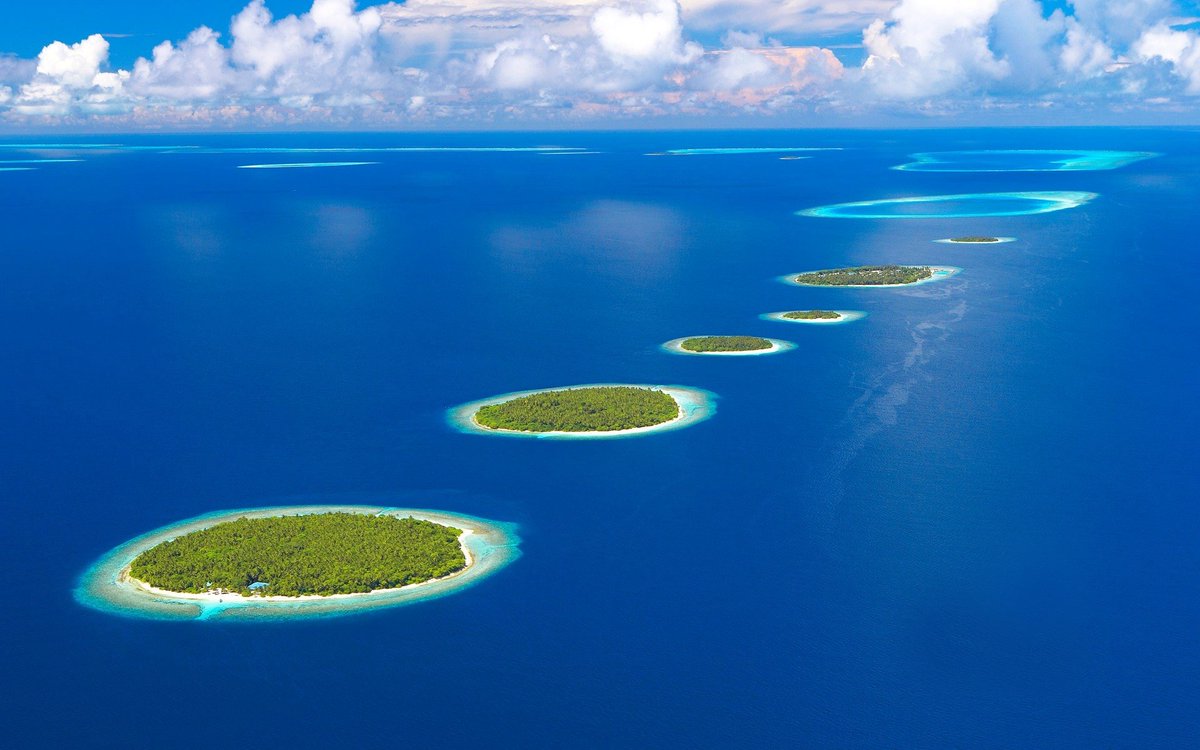 21.09 : Origine des atolls coralliens - Océanopolis