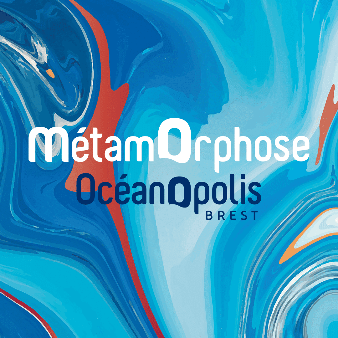 Métamorphose #2 : fermeture des pavillons Tropical et Austral - Océanopolis