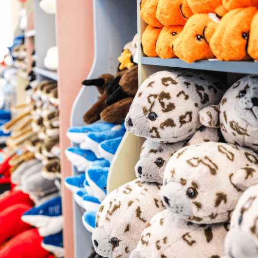 Soirée de Noël à la boutique d'Océanopolis : des idées de cadeaux pour ...