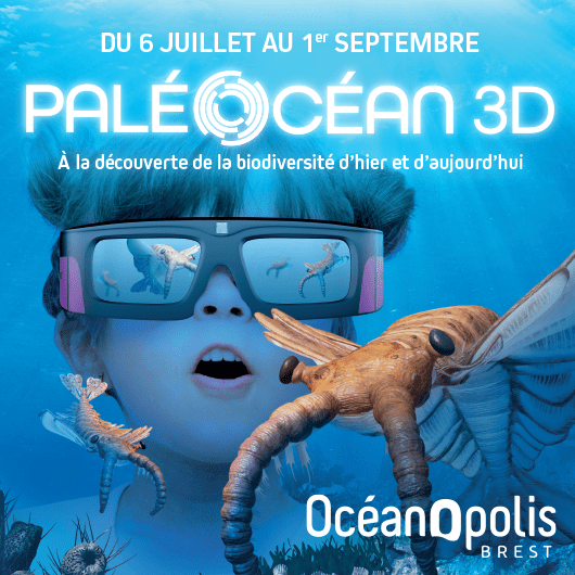 Animations en aquarium - Océanopolis